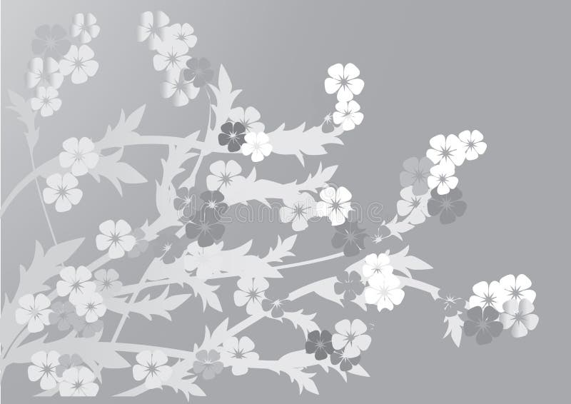 Achromatic floral ornament stock vector. Illustration of nature - 2540504