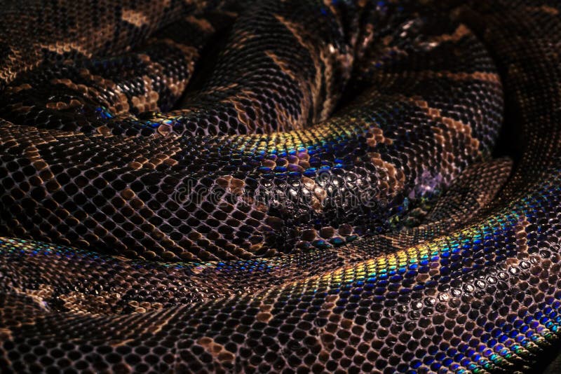 Gerolde slang op grond stock foto. Image of noodzaak - 33266990