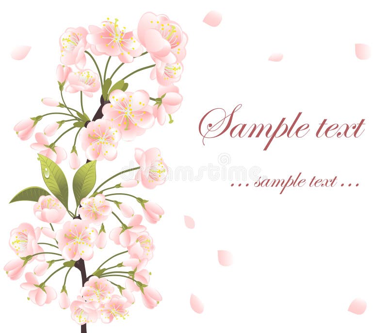 Sakura - Boom Voor Achtergrondmodel Voor Ontwerp Stock Illustratie ...