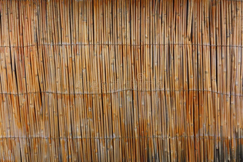 Achtergrond Van Riet De Textuur Van Het Riet Stock Foto - Image of ...