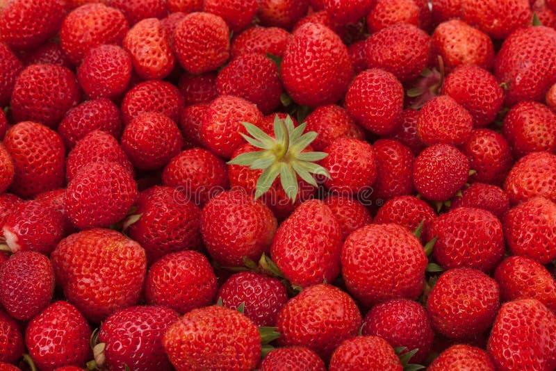 Achtergrond Van Rijpe Aardbeien Stock Afbeelding - Image of macro ...
