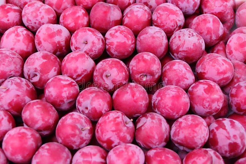 Achtergrondpruim stock afbeelding. Image of versheid - 38827939