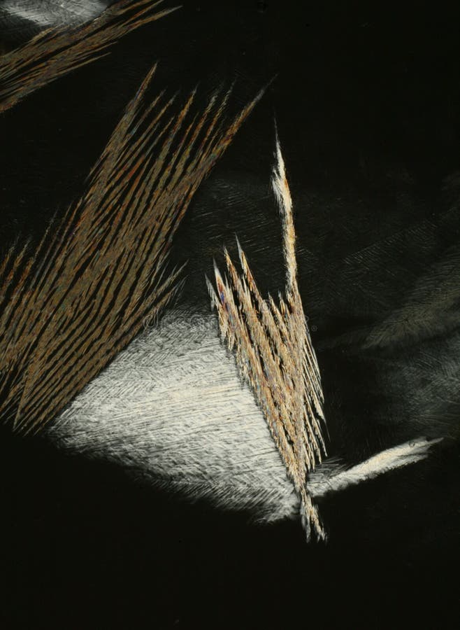 Frozen Acid Surface stock image. Image of polarized, frozen - 6999429