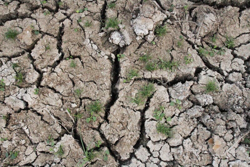 Acid stock photo. Image of environment, abstract, evening - 42609580