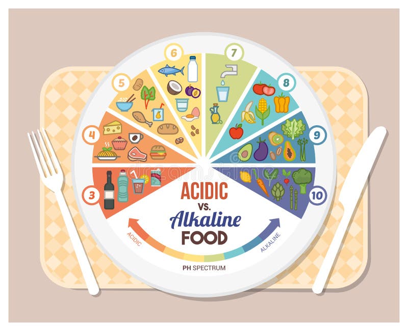 The acidic alkaline diet stock vector. Illustration of food - 68114147 The acidic alkaline diet stock vector. Illustration of food - 68114147