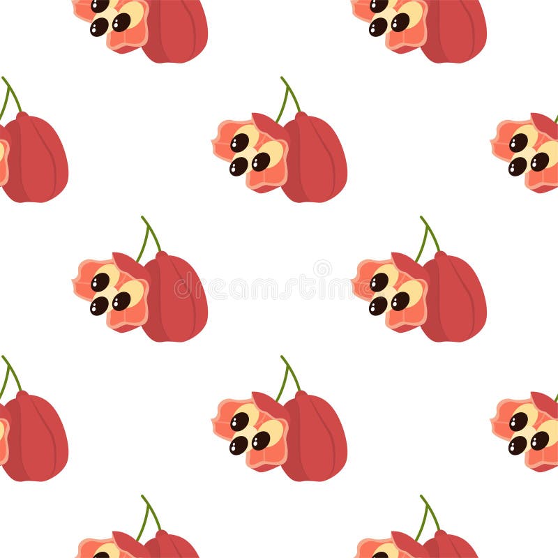 Ackee Fruit. Vector Illustration EPS Stock Vector - Illustration of ...