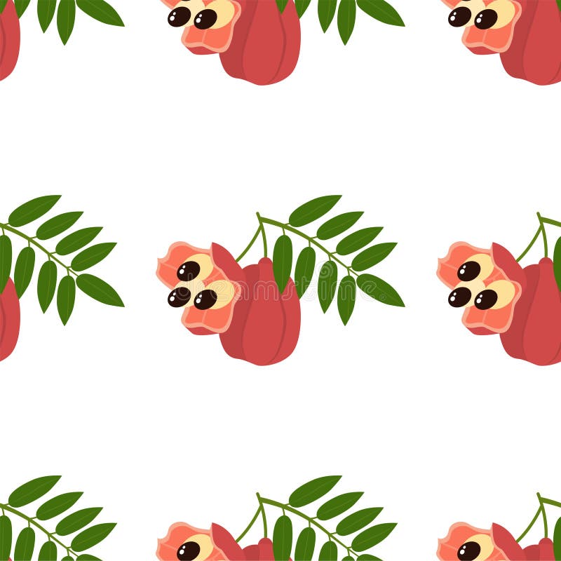 Ackee Fruit. Seamless Vector Patterns Stock Vector - Illustration of ...