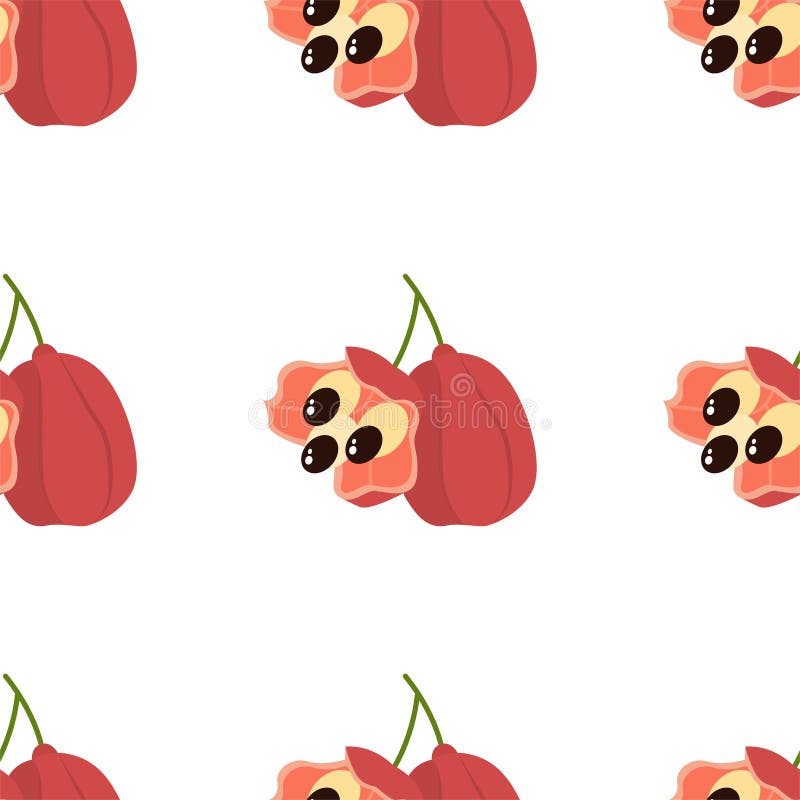 Ackee Fruit. Seamless Vector Patterns Stock Vector - Illustration of ...