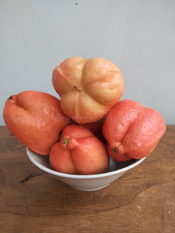 Ackee fruit stock photo. Image of ackee, poisonous, eaten - 279795704