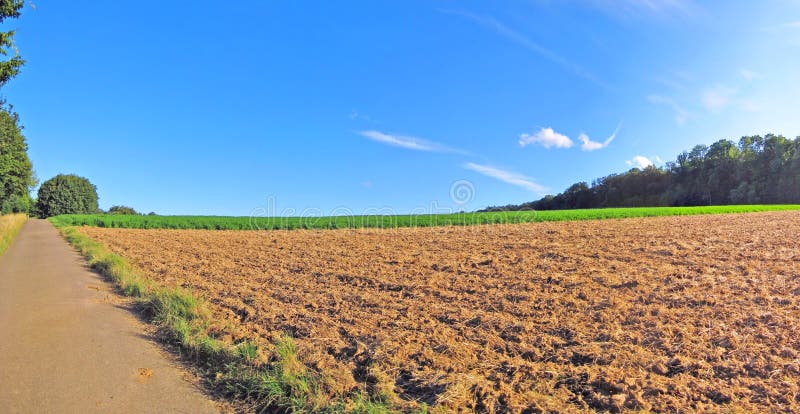 Ackerland stockbild. Bild von getreide, wagen, feld, wald - 26396261