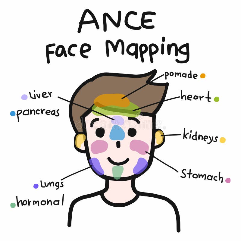 Acne Face Map Stock Illustrations – 42 Acne Face Map Stock ...