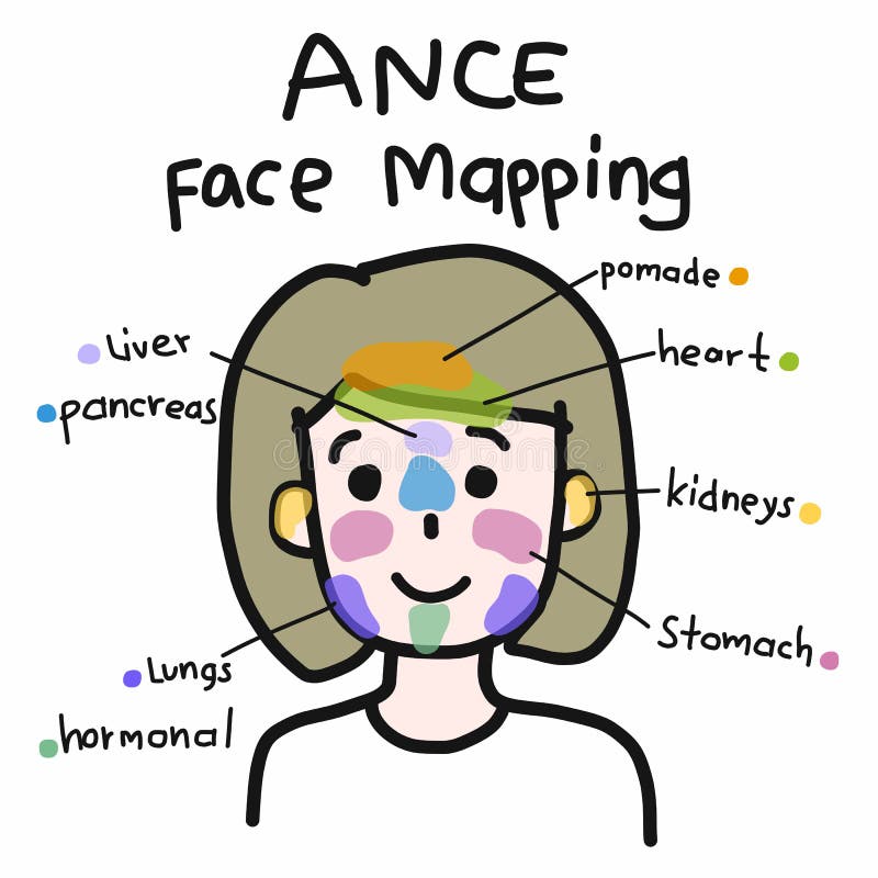 Acne Face Map Stock Illustrations – 42 Acne Face Map Stock ...