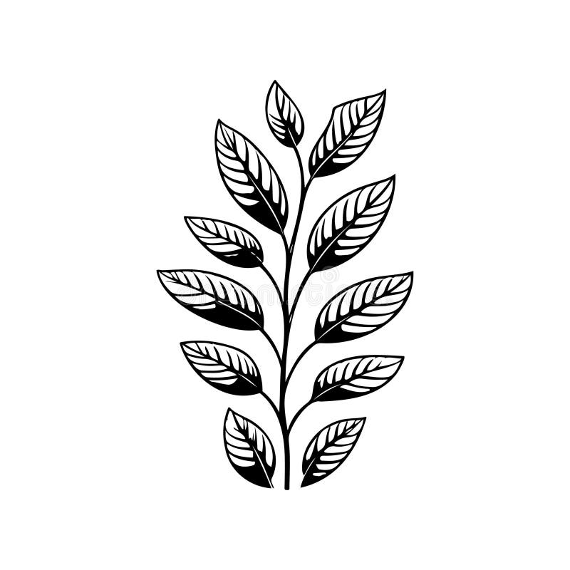 Aconite Icon Hand Draw Black Plant Logo Symbol Perfect Stock Vector ...