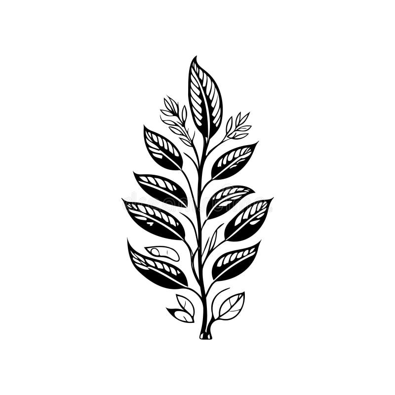 Aconite Icon Hand Draw Black Plant Logo Symbol Perfect Stock Vector ...