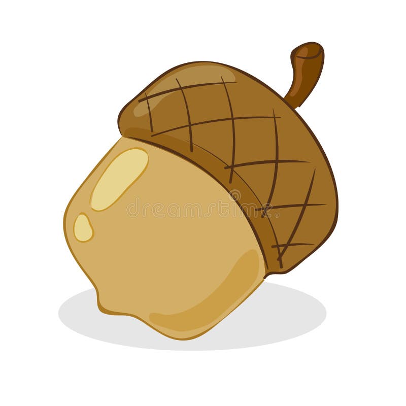 Acorn Cartoon Stock Illustrations – 13,507 Acorn Cartoon Stock ...