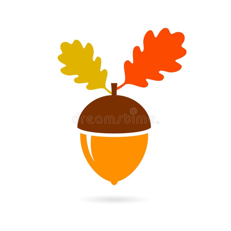 Acorn Stock Illustrations – 40,032 Acorn Stock Illustrations, Vectors ...