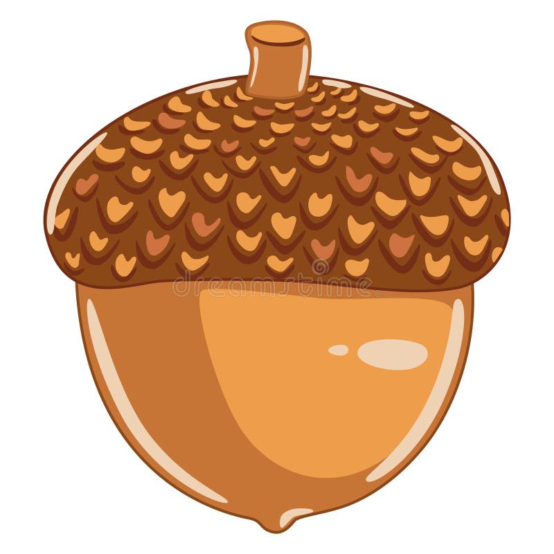 Acorn Cartoon Colorful Drawing. Stock Vector - Illustration of forest ...
