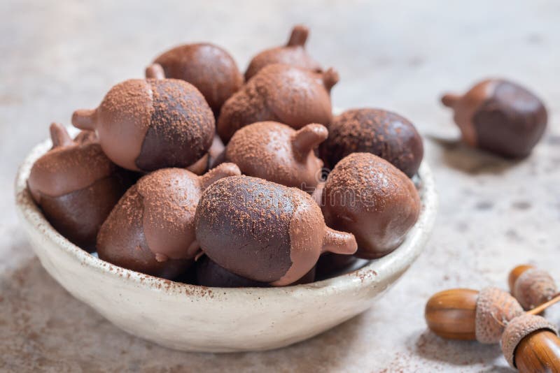 Acorn chocolate cake pops stock image. Image of dipped - 128711565