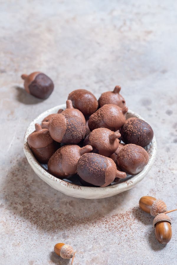 Acorn chocolate cake pops stock photo. Image of fall - 131968826
