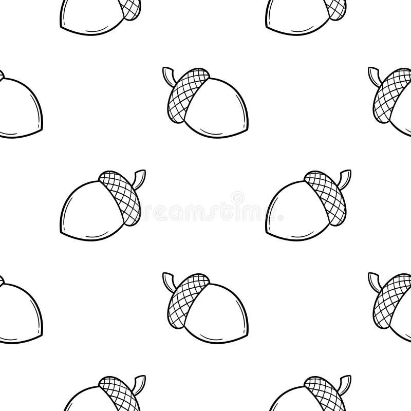 Set of Acorn, Hand Draw Vector Stock Vector - Illustration of botany ...
