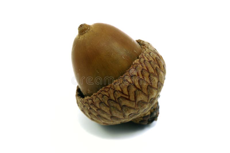 Chinese New Year S Cake Isolated Stock Photo - Image of banana ...