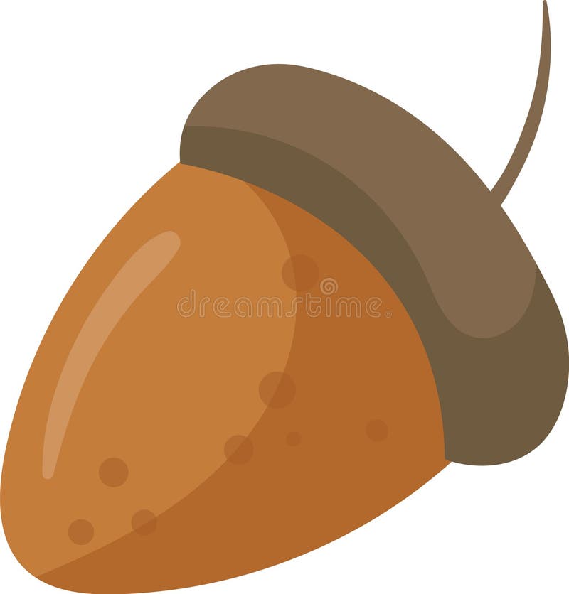 Acorn Oak Fruit stock vector. Illustration of green - 284971611