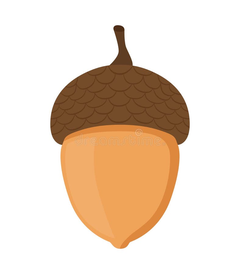 Acorn Stock Illustrations – 42,558 Acorn Stock Illustrations, Vectors ...