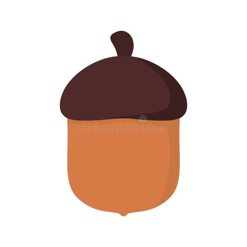 Acorn Oak Tree Fruit Flat Design Vector Illustration Stock Vector ...