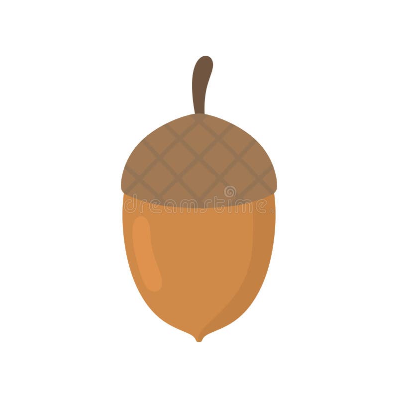 Acorn Oak Tree Fruit Flat Design Vector Illustration Stock Vector ...