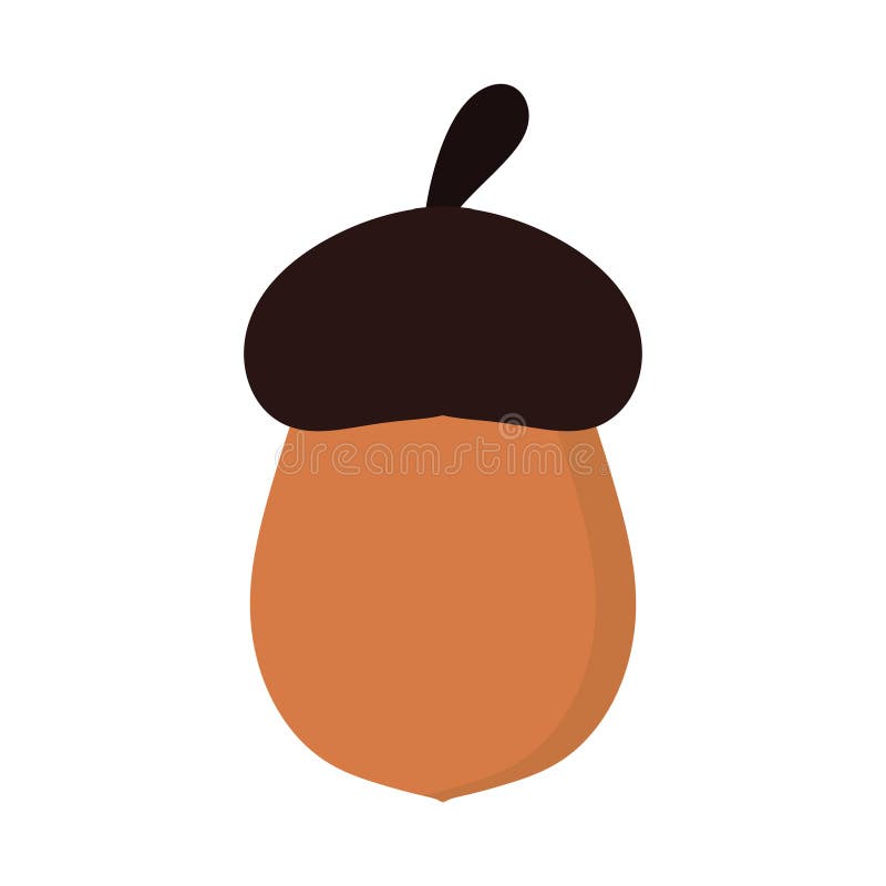 Acorn Oak Tree Fruit Flat Design Vector Illustration Stock Vector ...