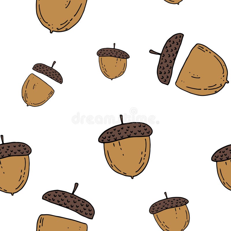 Acorn Pattern by Hand Drawing on White Backgrounds. Stock Illustration ...
