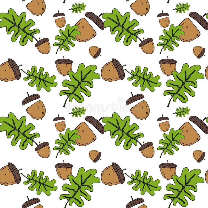 Acorn Pattern by Hand Drawing on White Backgrounds. Stock Illustration ...