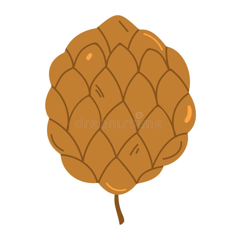 Acorn or Pine Tree Cone Vector Illustration Isolated on White ...