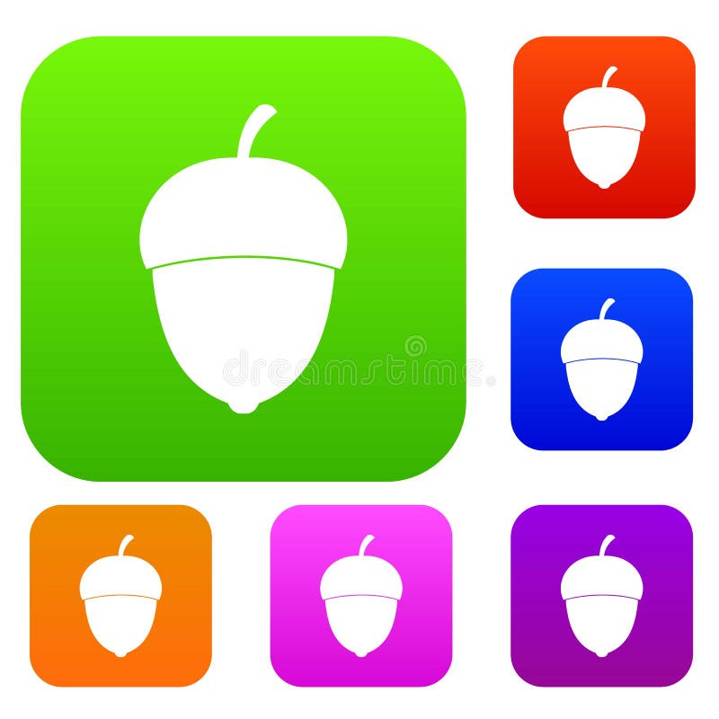 Acorn set collection stock vector. Illustration of decor - 98007867