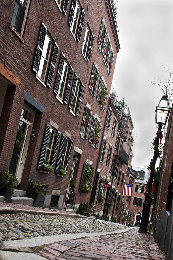 990 Boston Snow Acorn Stock Photos - Free & Royalty-Free Stock Photos ...