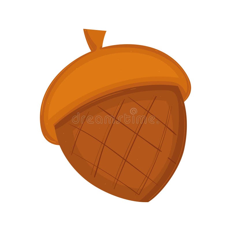 Acorn with Textured Brown Shell and Cap Vector Stock Vector ...