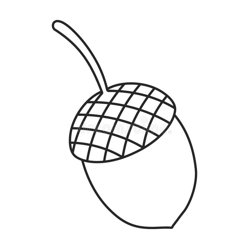 Acorn Vector Icon.outline Vector Icon Isolated on White Background ... Acorn Vector Icon.outline Vector Icon Isolated on White Background ...