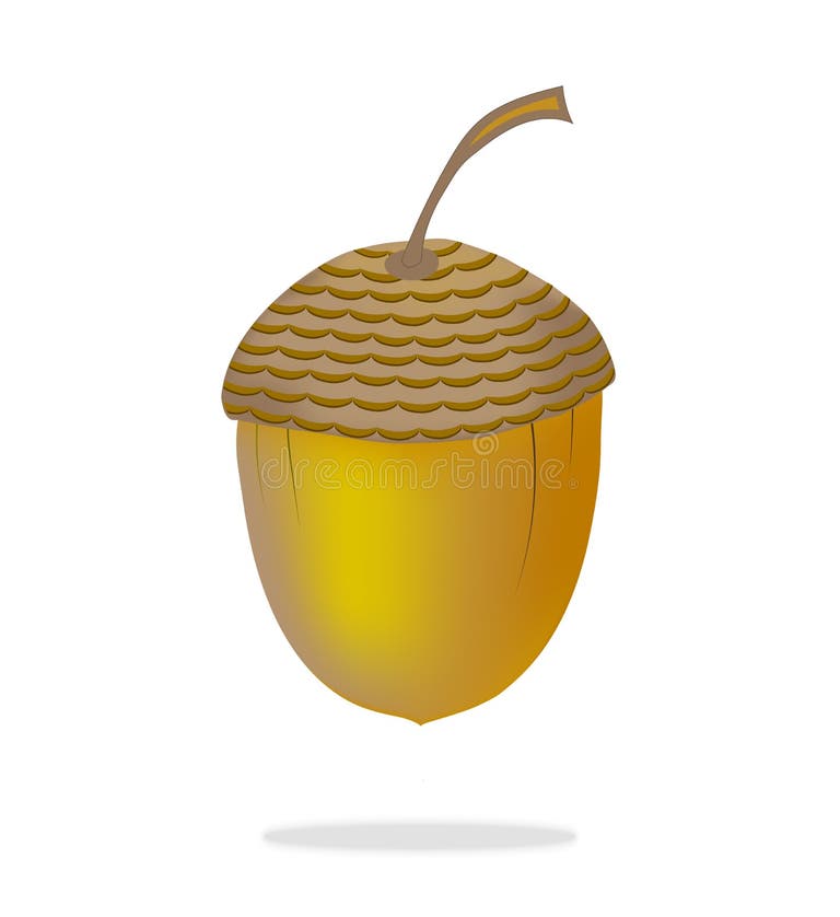 One Acorn Stock Illustrations – 583 One Acorn Stock Illustrations ...