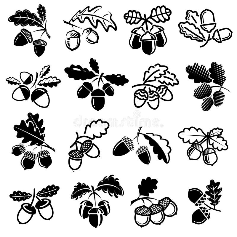 Acorns Set. Collection Icon Acorn Stock Vector - Illustration of forest ...