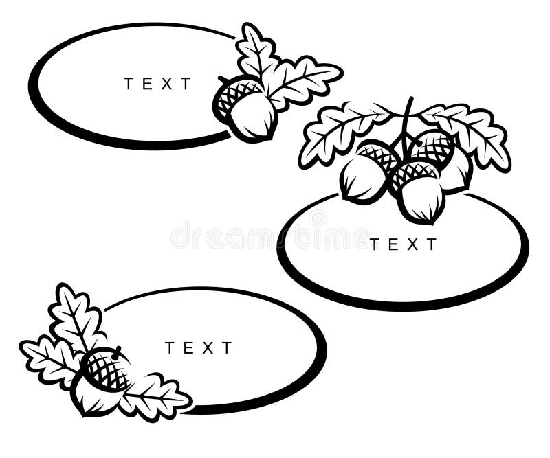 Acorns Set. Collection Icon Acorns Stock Vector - Illustration of ...