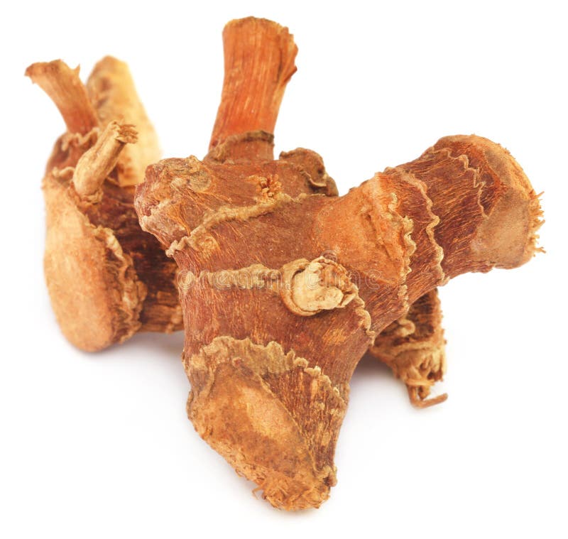 282 Flag Sweet Tea Stock Photos - Free & Royalty-Free Stock Photos from ...