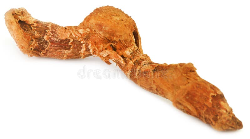 282 Flag Sweet Tea Stock Photos - Free & Royalty-Free Stock Photos from ...