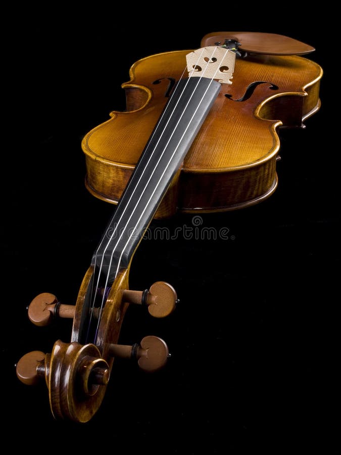Acoustic Classical Violin Perspective View Stock Image - Image of pegs ...