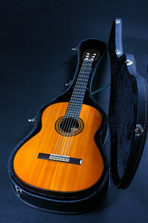 Acoustic Guitar Picture. Image: 1770240