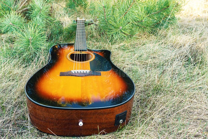 Musical Instrument in the Grass Stock Photo - Image of musical, chords ...