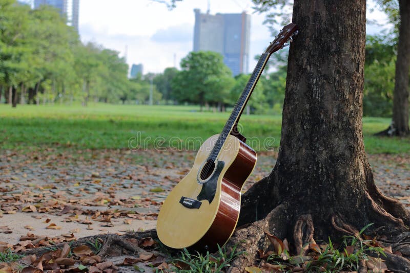 Acoustic Guitar Leaning Against Tree in the Park. Stock Image - Image ...