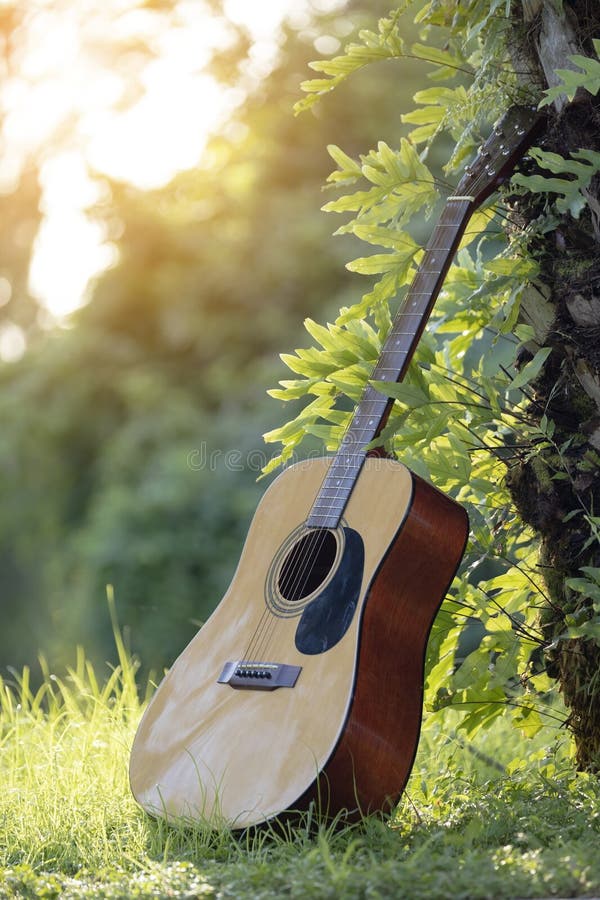 Acoustic Guitar Outdoors on Greenery Background. Concept of Calm Music ...