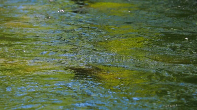 Acqua Di Fiume Che Scorre Lentamente Stock Footage - Video di creta ...