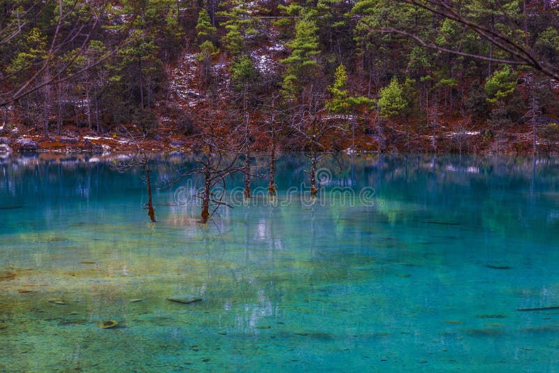 Acqua trasparente del lago immagine stock. Immagine di centrale - 51770857