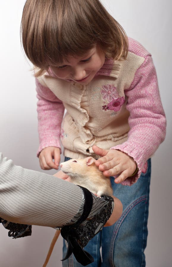 Acquaintance stock photo. Image of cute, beautiful, cheerful - 16672910